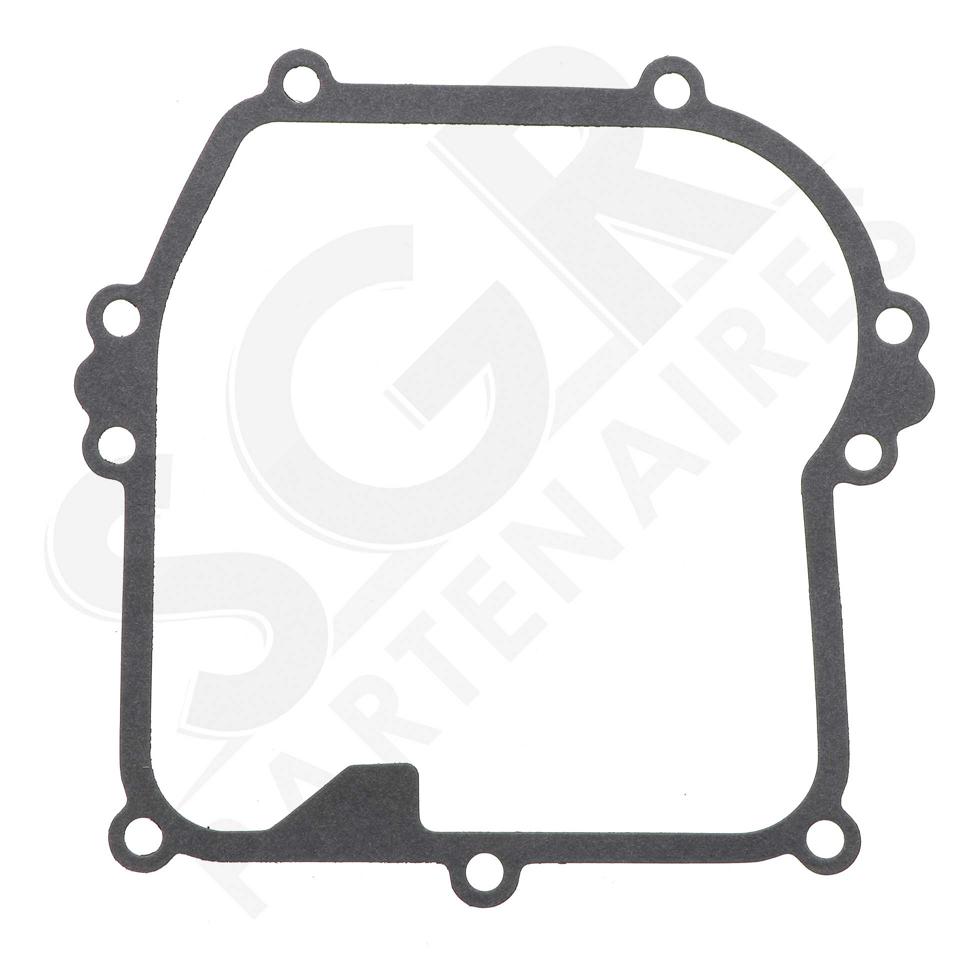 Briggs & Stratton | JOINT DE CARTER Pièces moteur diverses - AGZ000699082