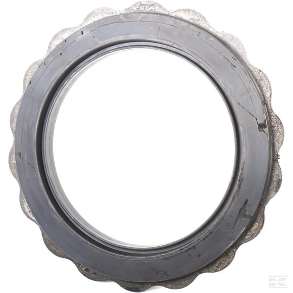 Disque cranté sillonneur Rabe Rabewerk - AGZ000543397