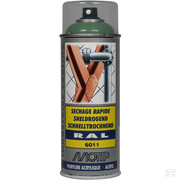 RAL 6011 spray vert réséda Tous produits - AGZ000563329