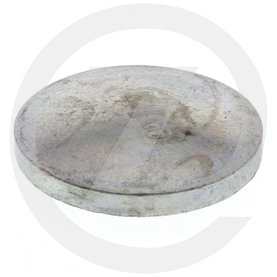 Pastille de sablage acier - 16.00 mm Pastille de sablage - AGZ000651391