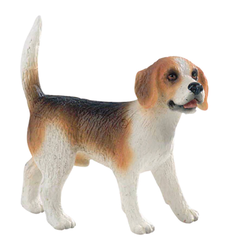 Figurine beagle BL65424 | Agrizone