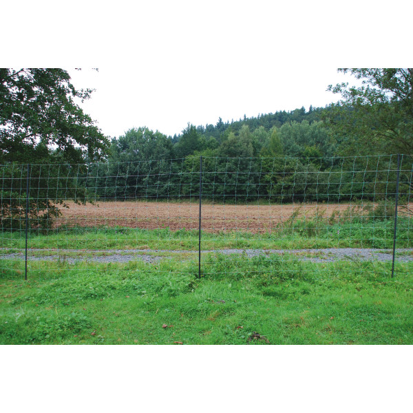 Filet loup 170 cm 25m Filets protection animaux sauvages - AGZ000685472