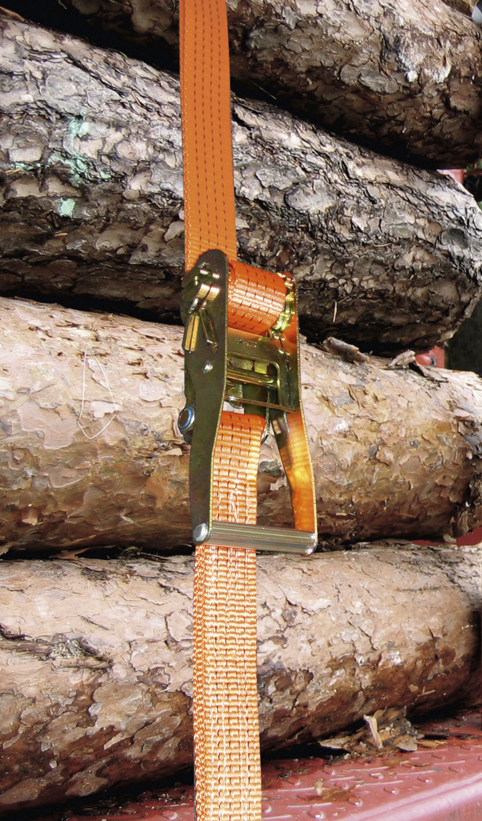 Sangle d'arrimage à crochet à griffe 8m Sangle - élingue - AGZ000545857